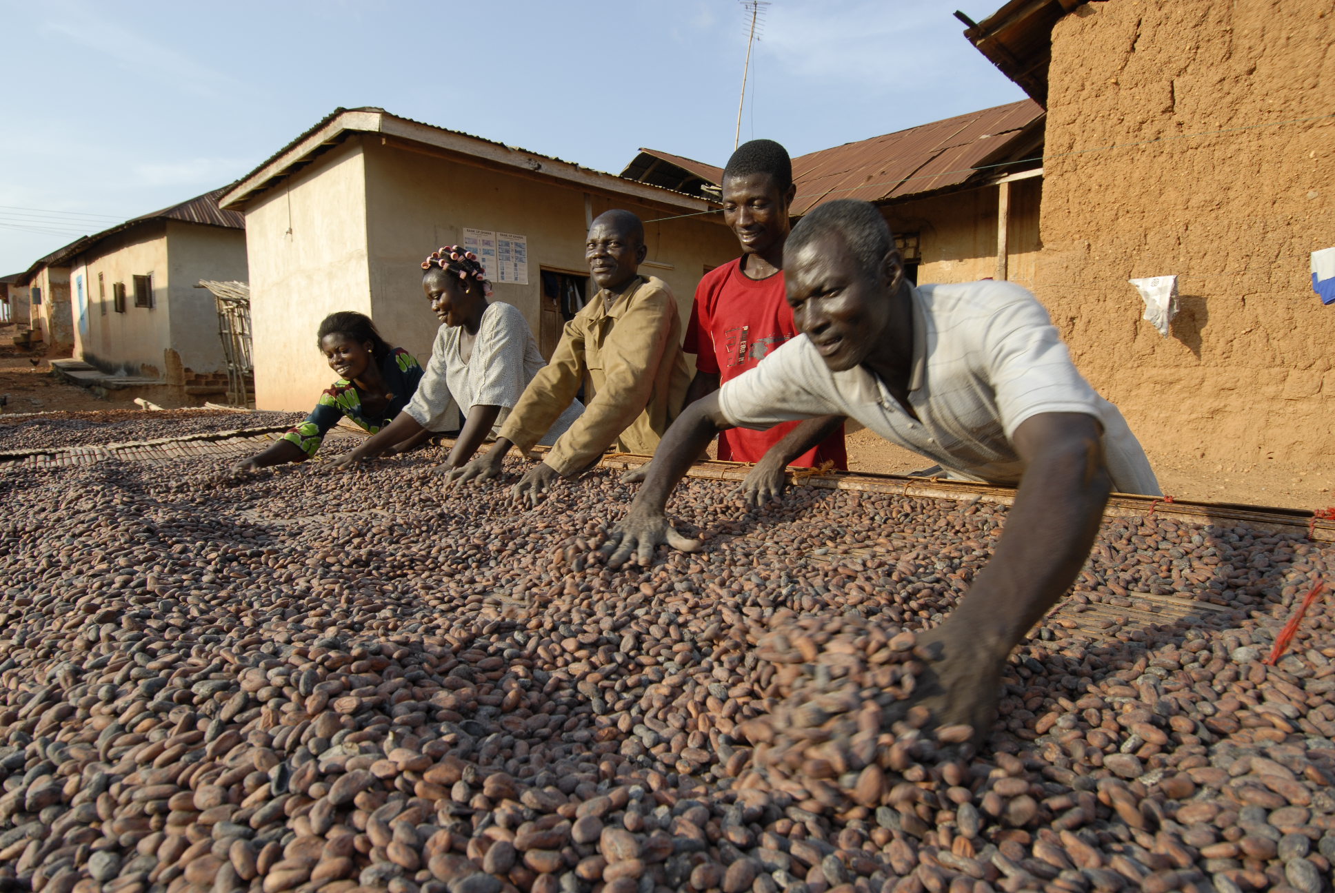 Divine Chocolate cuts its cocoa co-op content to bring in capital | The ...